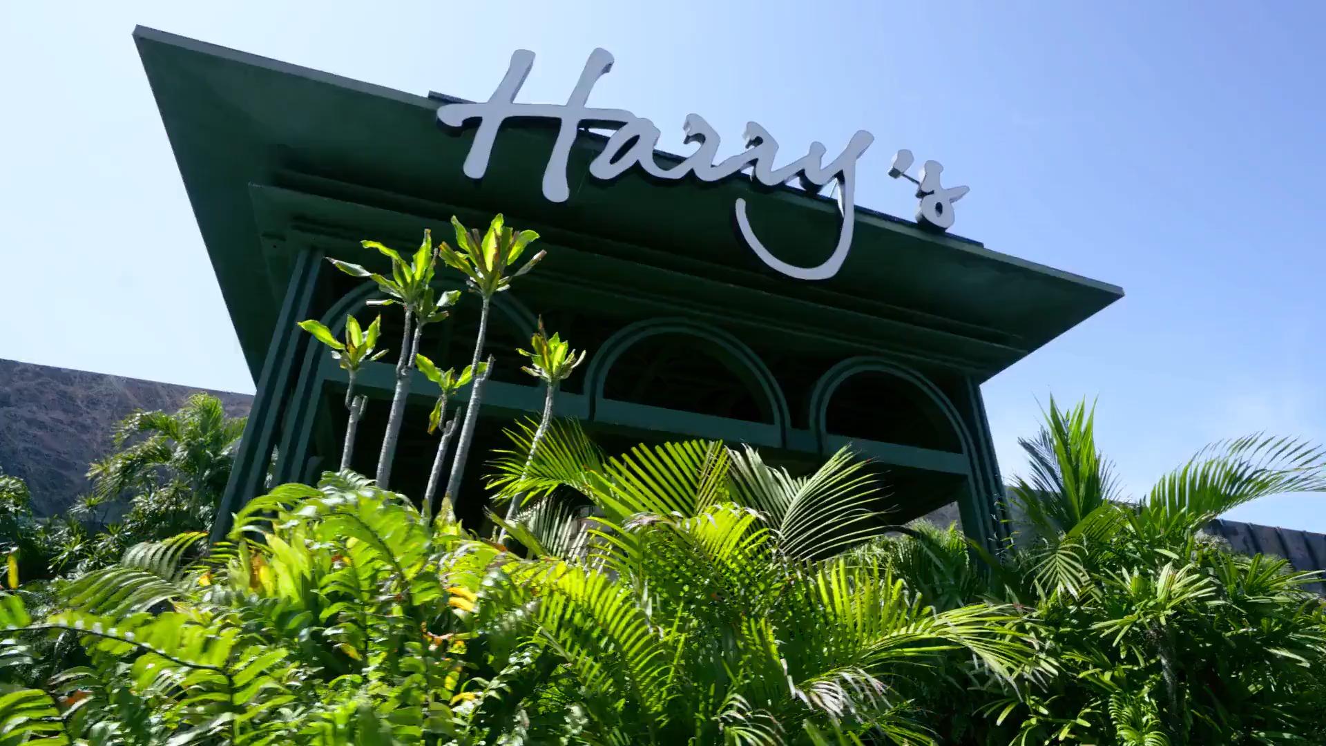 Harry's Cancun - Best Steakhouse Restaurant | Grupo Anderson's